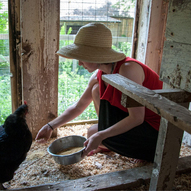 Amy Tudor – Tasha Tudor and Family